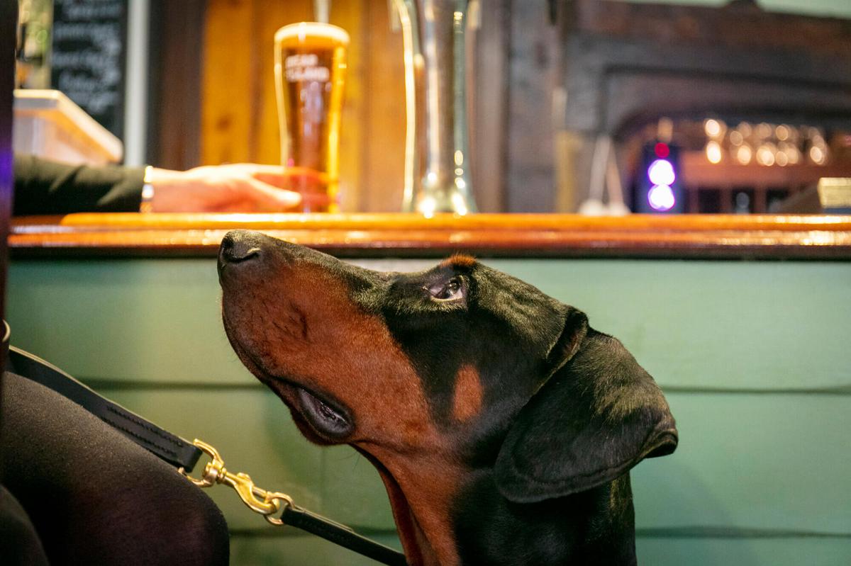 The Bull Inn at Linton - Home
